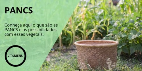 PANCS, você já ouviu falar sobre elas? - Vitamenu
