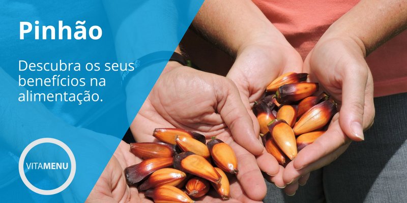 [Alimento] Pinhão, descubra os seus benefícios na alimentação. - Vitamenu